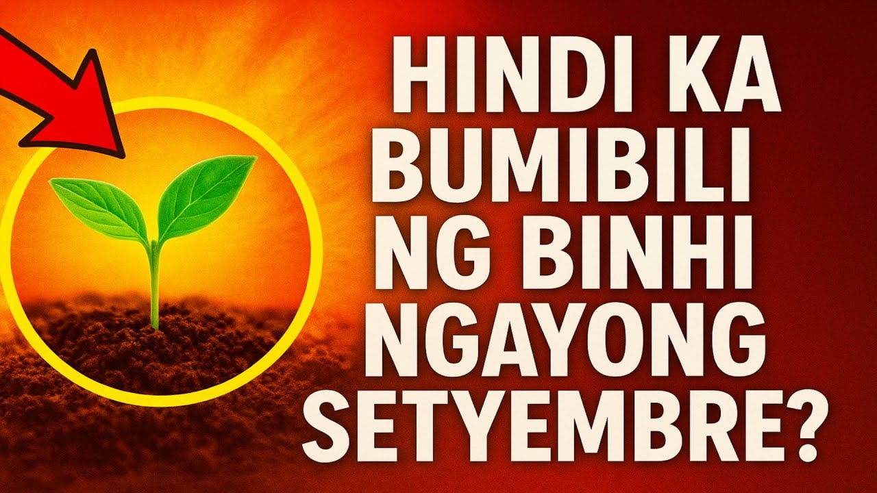 Hindi ka bumibili ng binhi ngayong Setyembre? 😱 Ito ang pangunahing ...