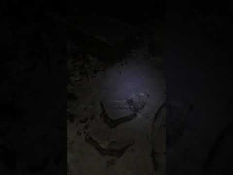 Gore orphanage part 1