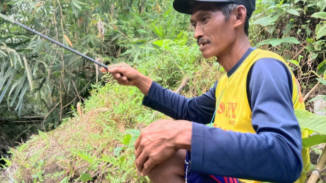 Vlog Mancing Iwak Wader - YouTube