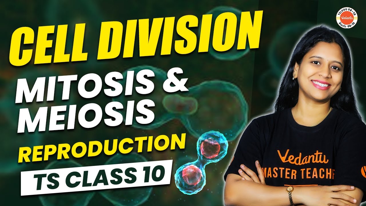 Cell Division | MITOSIS & MEIOSIS | Reproduction | TS Class 10 - YouTube