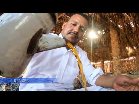 COMETRA: Egyptian Tourism