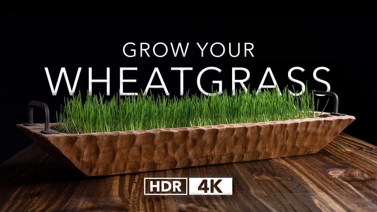 WHEATGRASS - YouTube