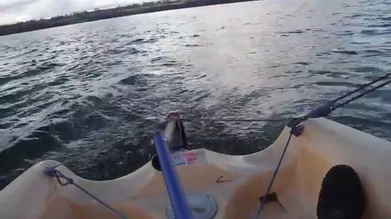 Laser Pico - YouTube