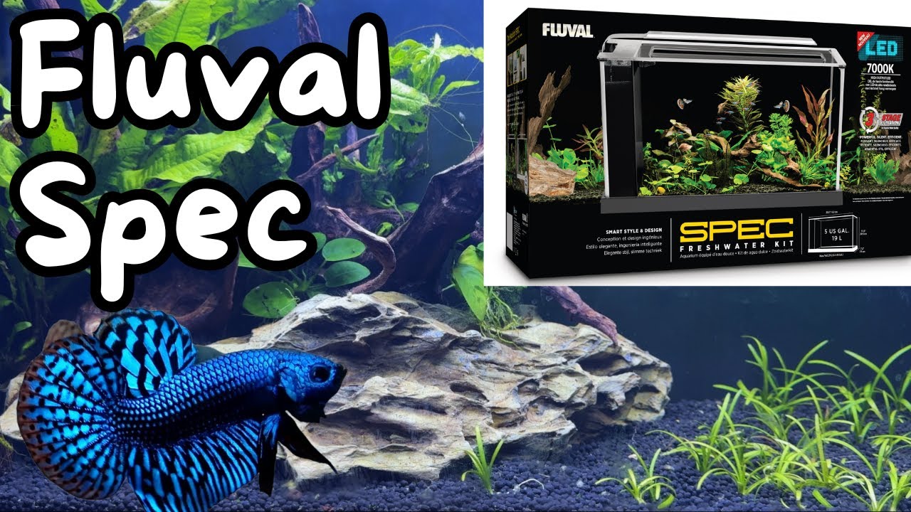 Fluval Fish Tank Design Fluval Edge Aquarium For Sale With Delivery