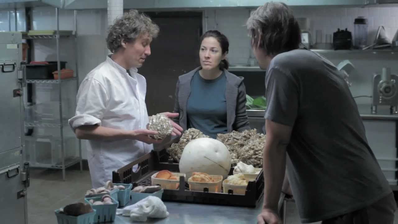 NOW, FORAGER official trailer.mov - YouTube