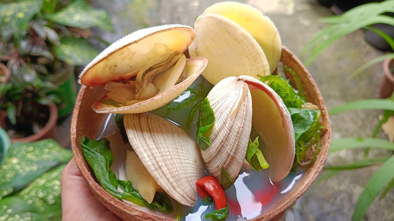 Talagang napakasarap ng ganitong luto sa SHELLS at SEAWEEDS | Sabaw pa ...