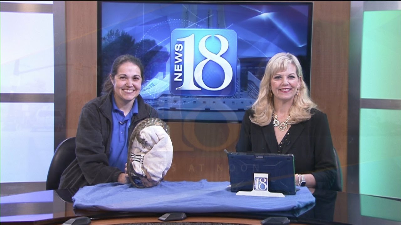 Lizard Interview On Set - YouTube