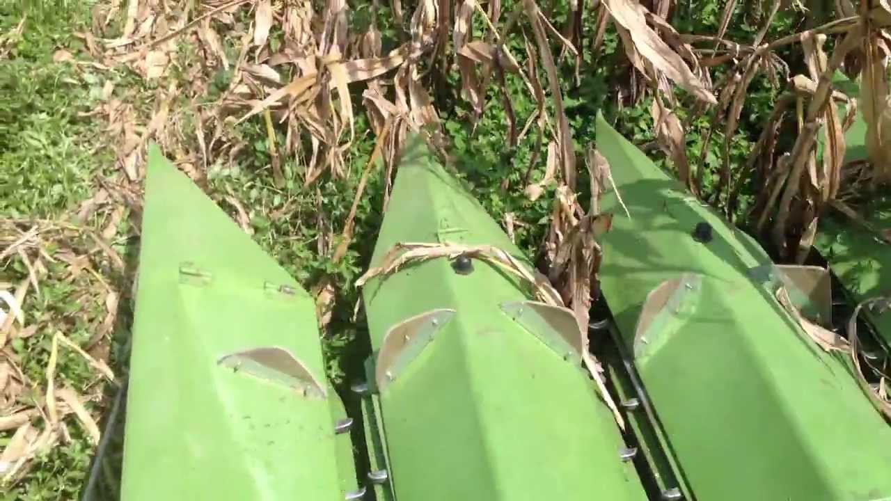 CLAAS CROP TIGER WITH AGRI COMPONENT CORN HEADER - YouTube