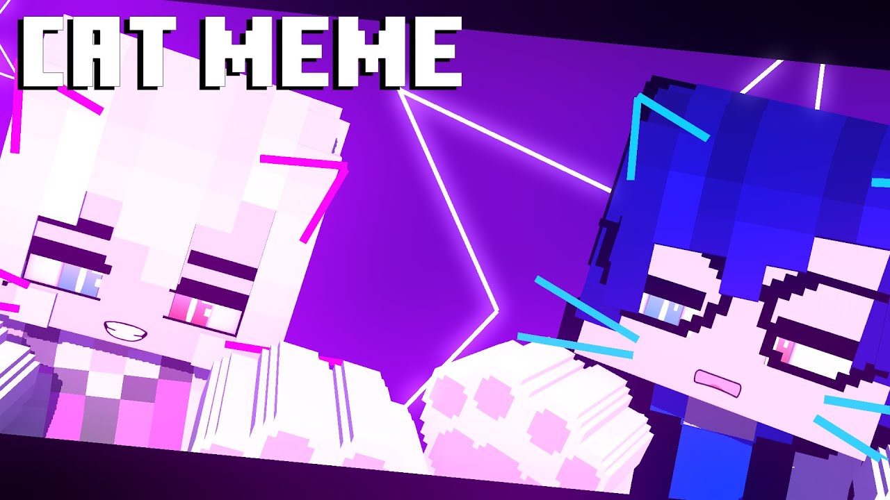 CATS MEME ~ [Minecraft Animation] SN. /ᐠ｡ᆽ｡ᐟ \ - YouTube