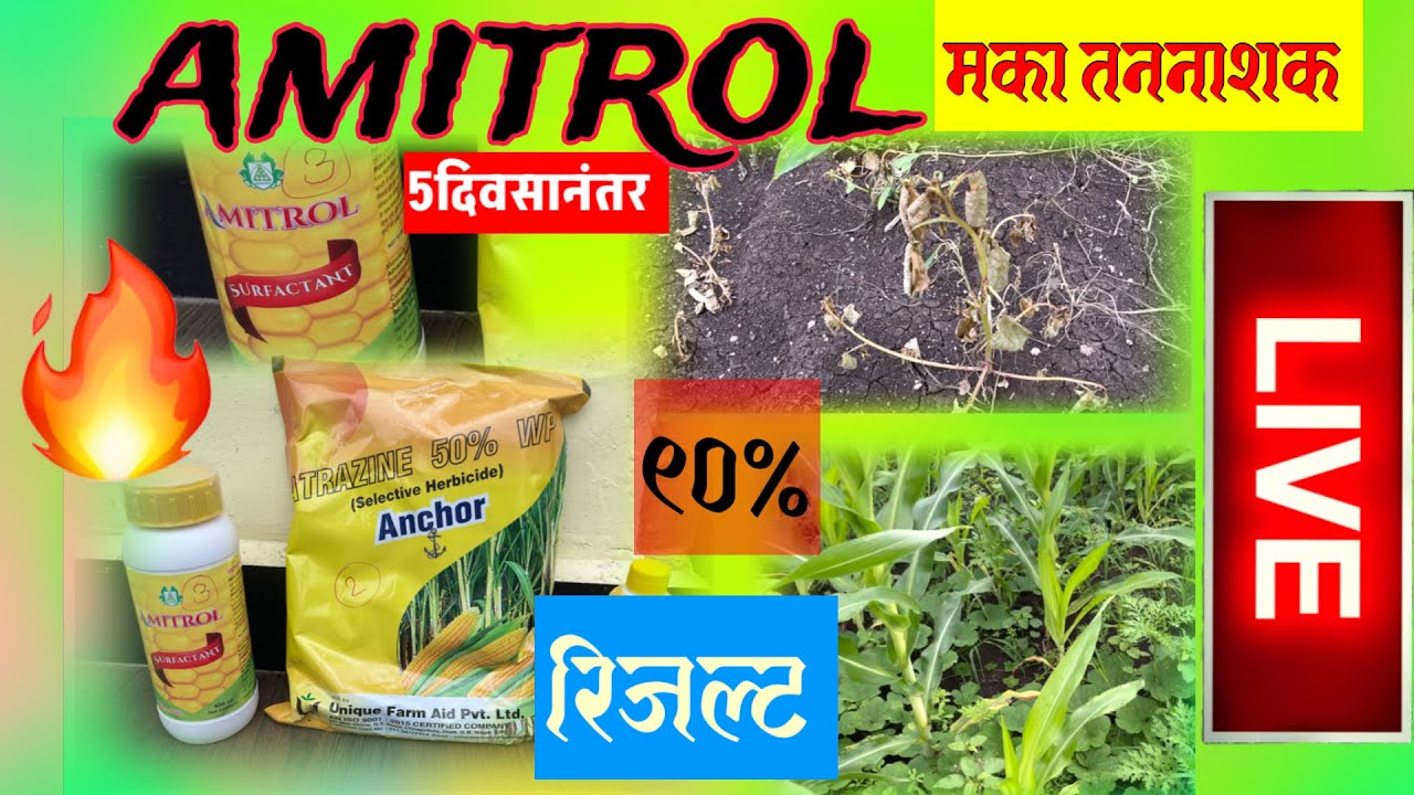 Amitrol maka tannashak best - YouTube