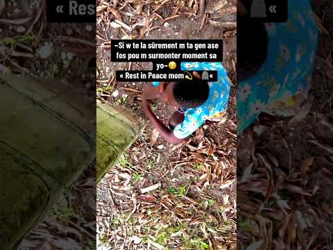 Sorry tout moun ki pedi mom yo menm Jan avèm