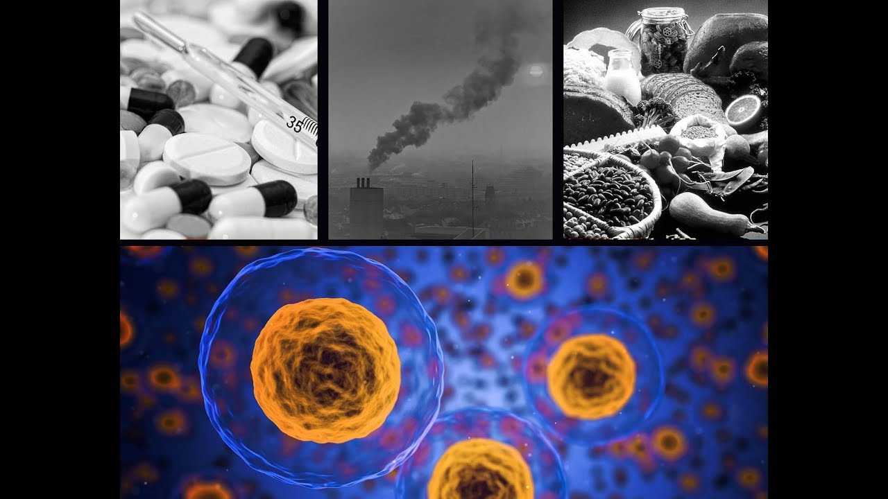 The Exposome: Measuring Complex Exposures on a Global Scale - YouTube