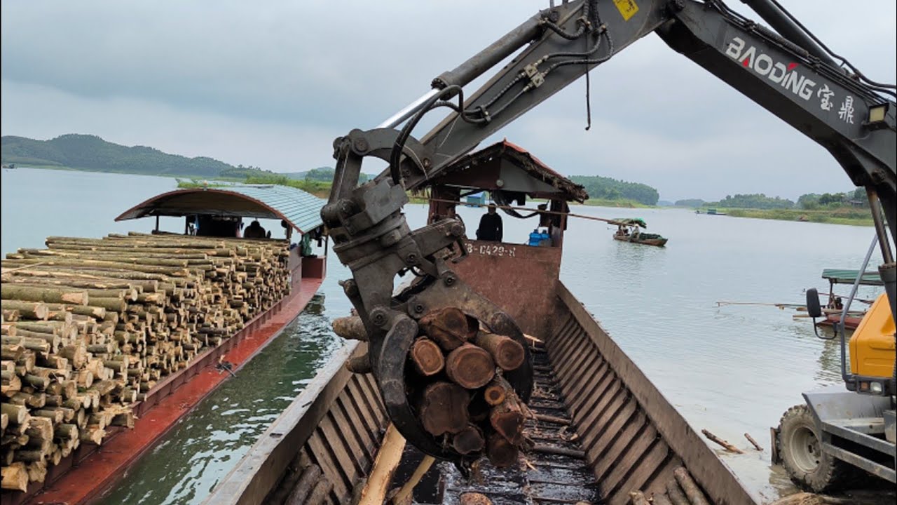 wood picking machine/processing the wood#woodworking - YouTube