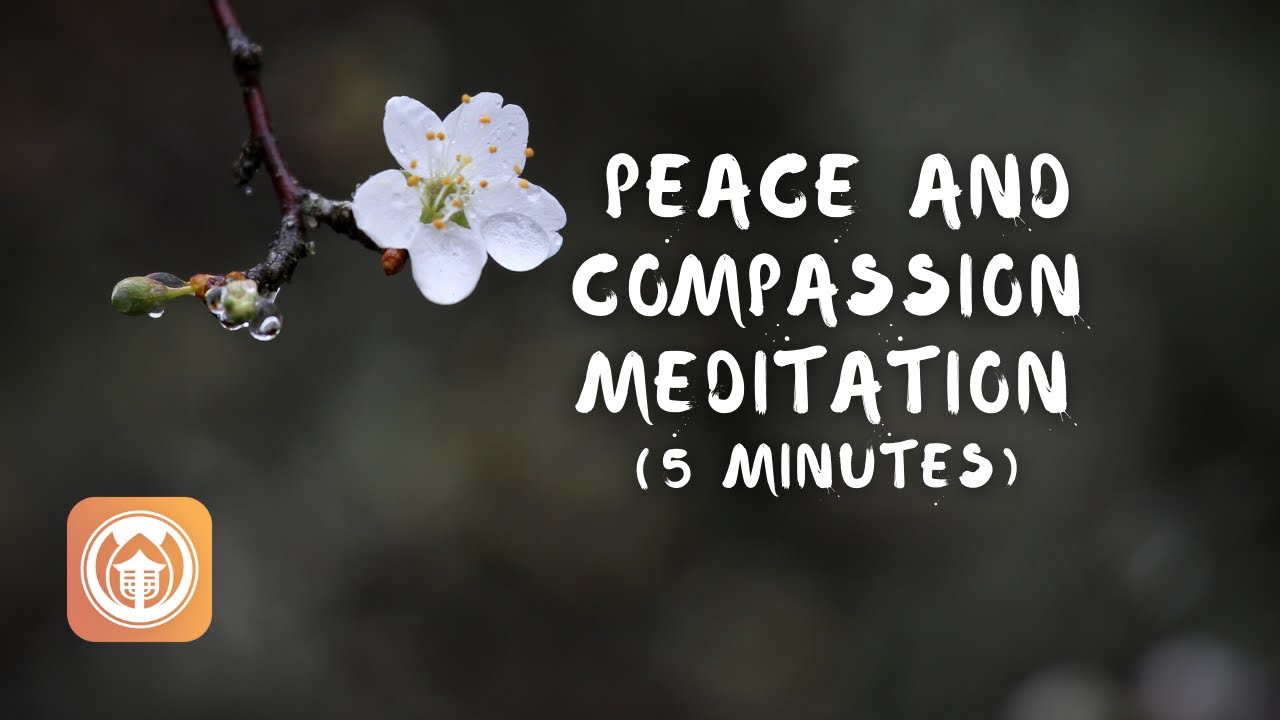 Peace and Compassion Meditation (5 min) | Sister True Dedication - YouTube