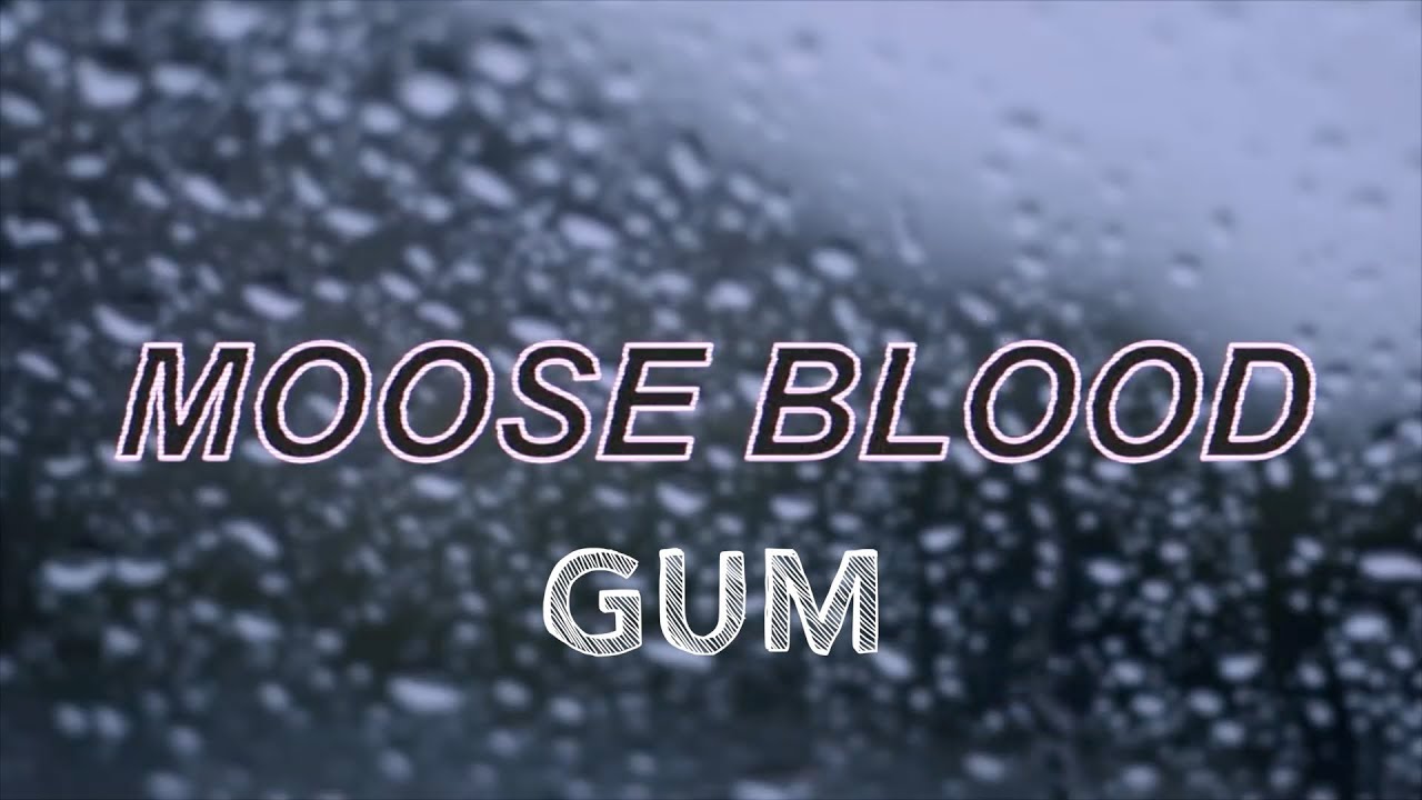 Moose Blood - Gum | (Lyric Video) - YouTube