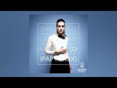 Shivaree - Goodnight Moon DiPap Remix FREE DOWNLOAD