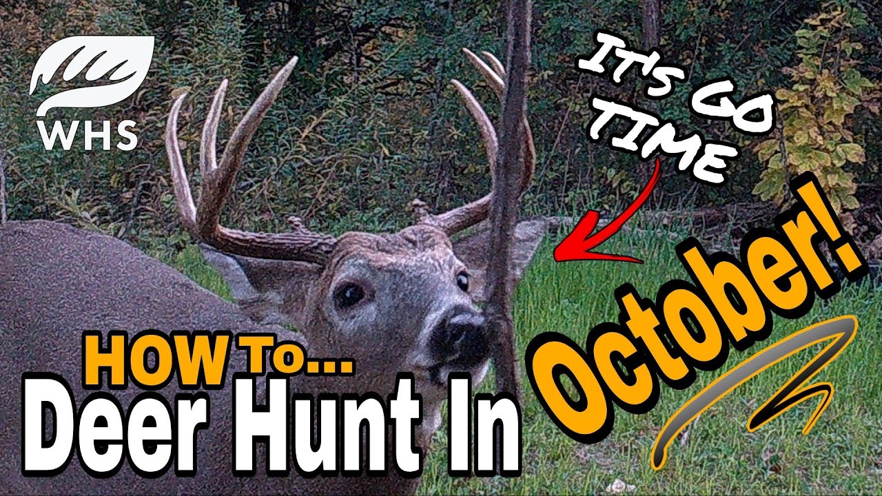 October Deer Hunting Tips - YouTube