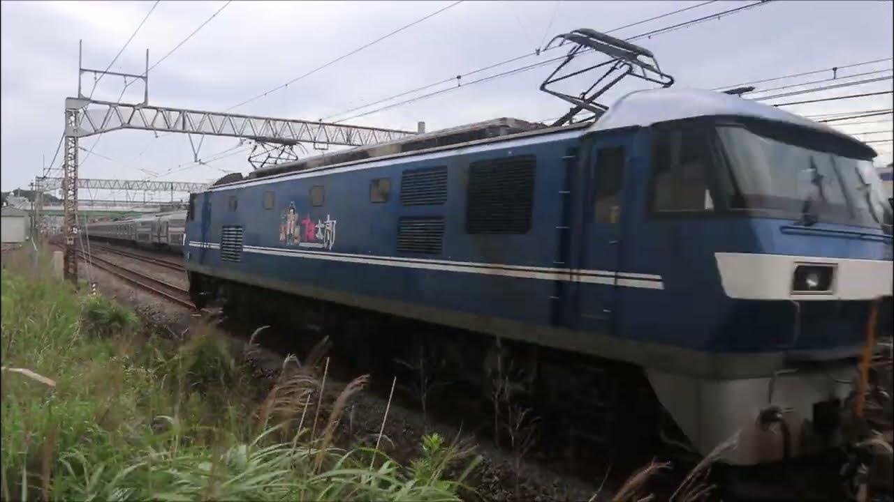 8052レ EF210-4+コキ20両 戸塚付近通過 - YouTube