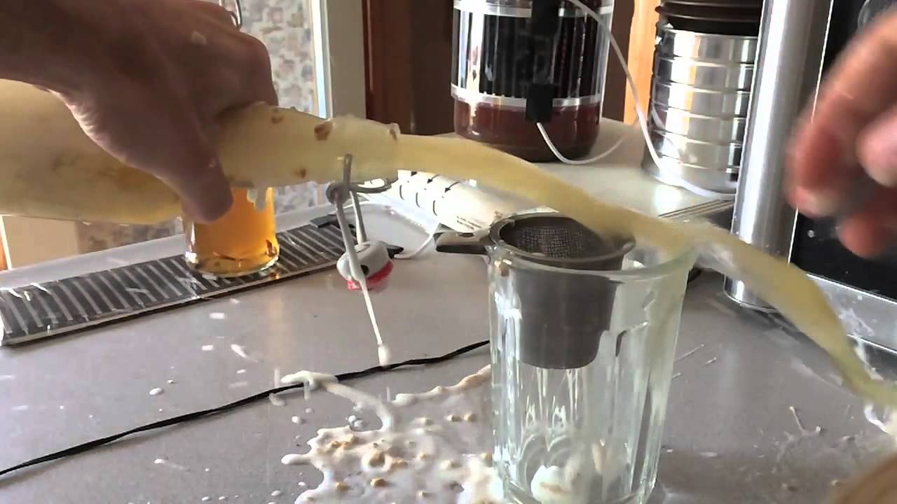 How to make Fizzy Kombucha: Slow motion - YouTube