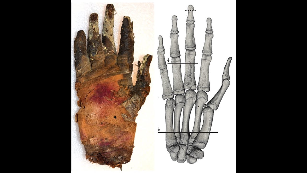 CT scans of mummy's hand show incredible details of inner tissue - YouTube