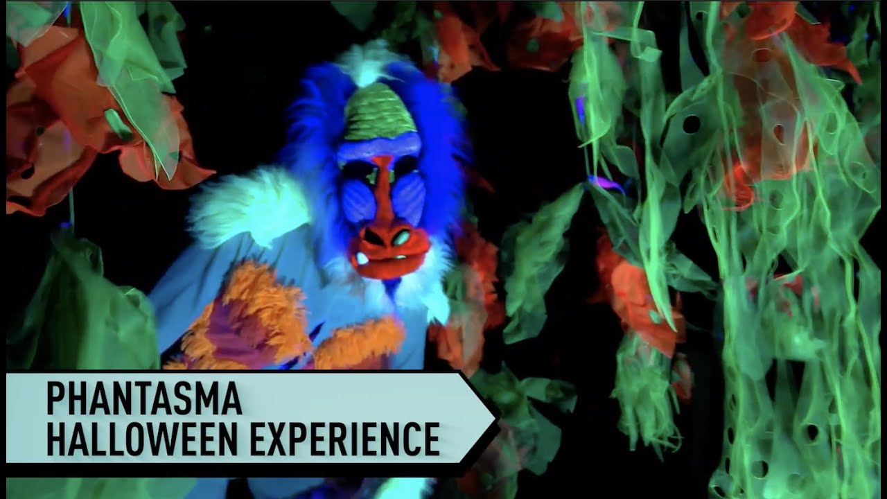 Gregangelo Museum PHANTASMA - Halloween Experience- - YouTube