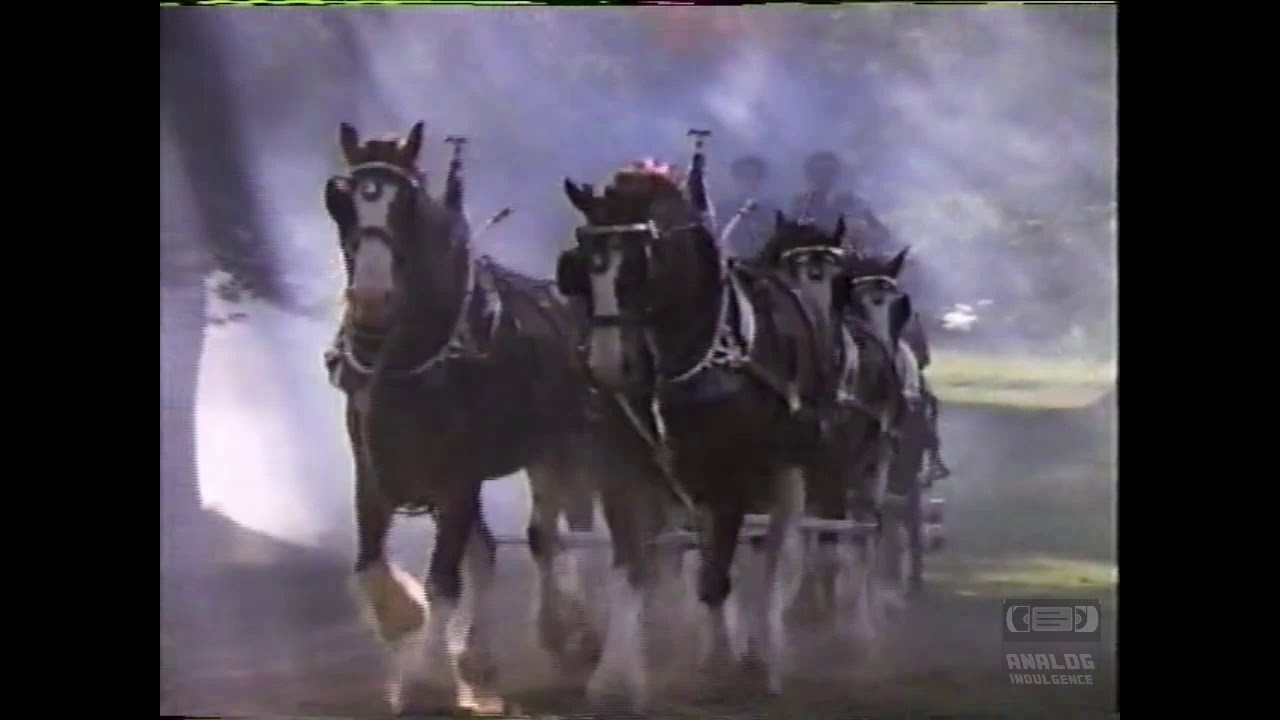 Budweiser Beer | Television Commercial | 1988 - YouTube