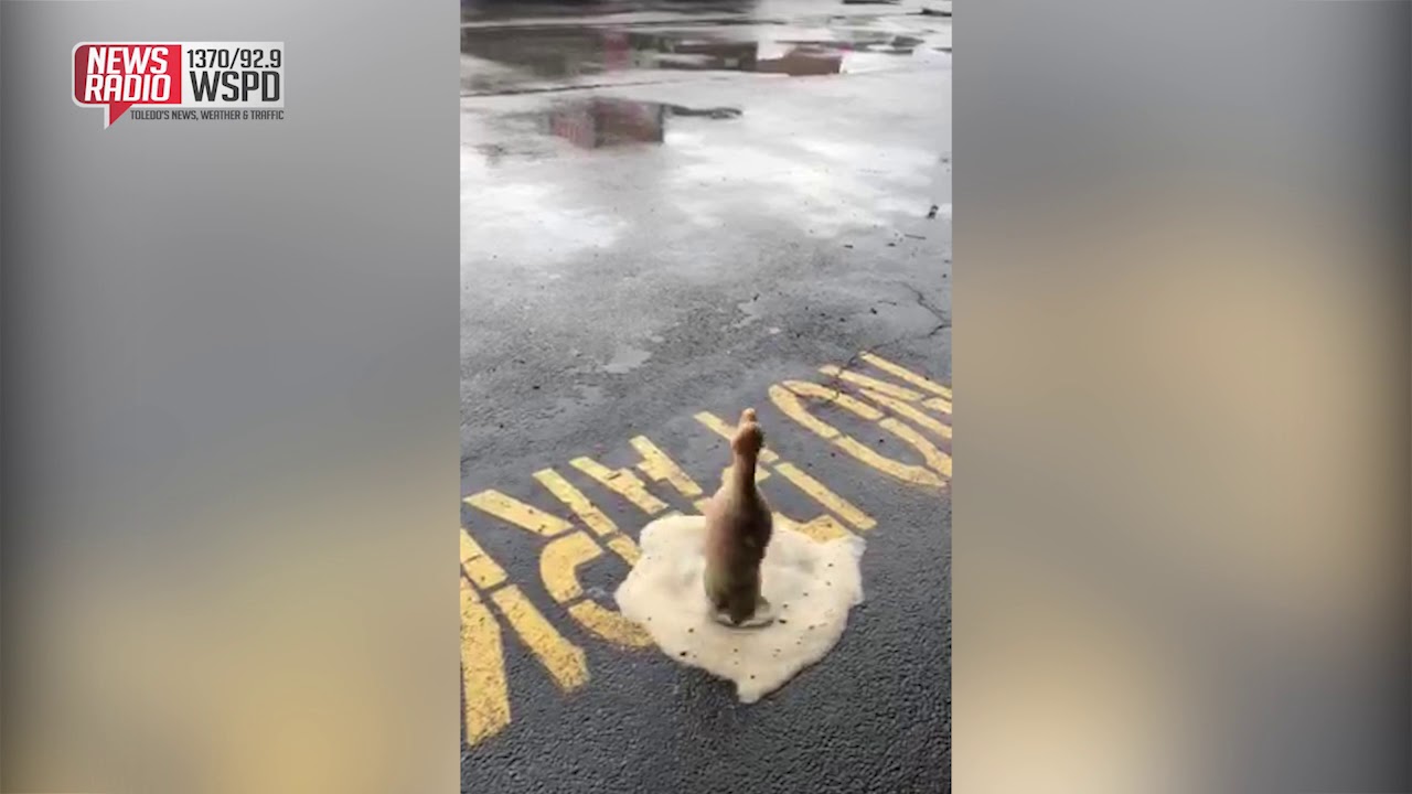 Mythbusters' Adam Savage Diet Coke/Mentos Experiment - YouTube