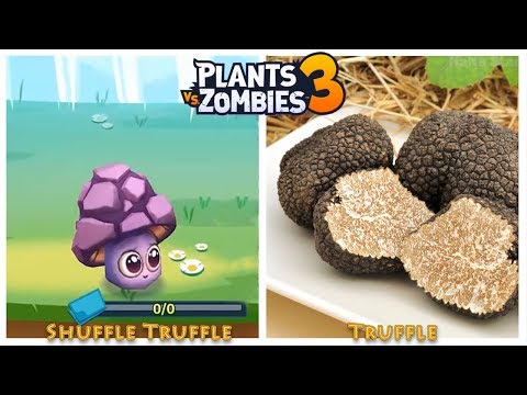 Plants vs Zombies 3 Characters in Real Life
