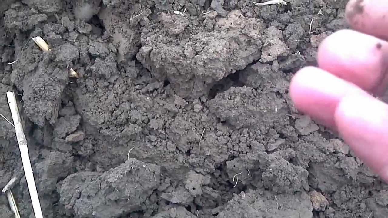 Arrowhead hunting in Upstate New York along the Mohawk! Great Find ...