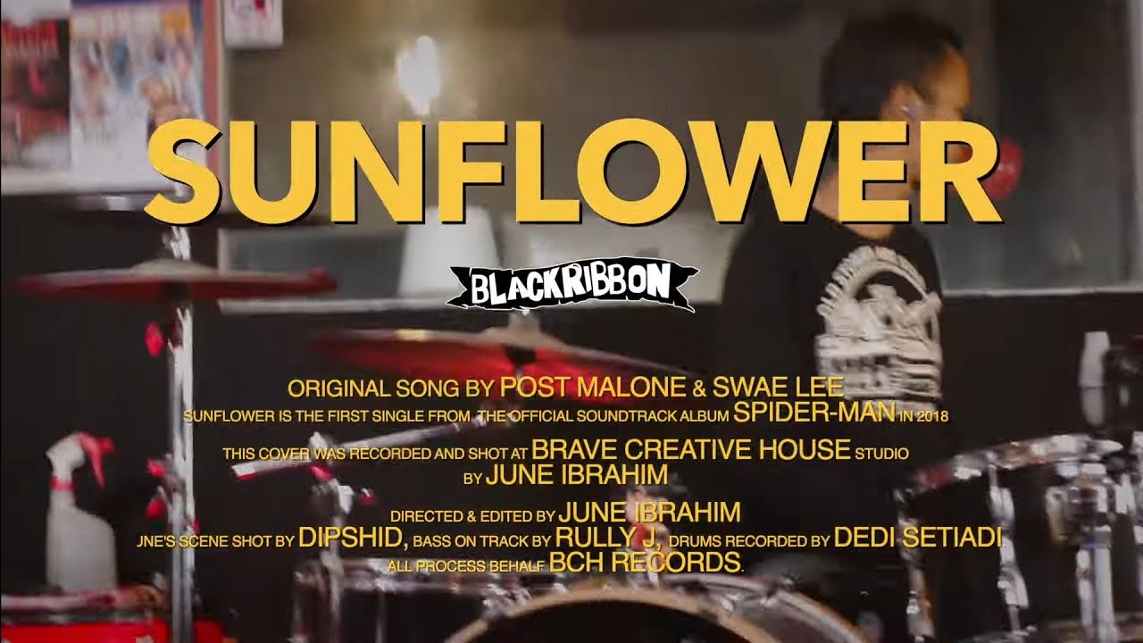 Post Malone & Swae Lee - Sunflower (ACOUSTIC COVER) - YouTube