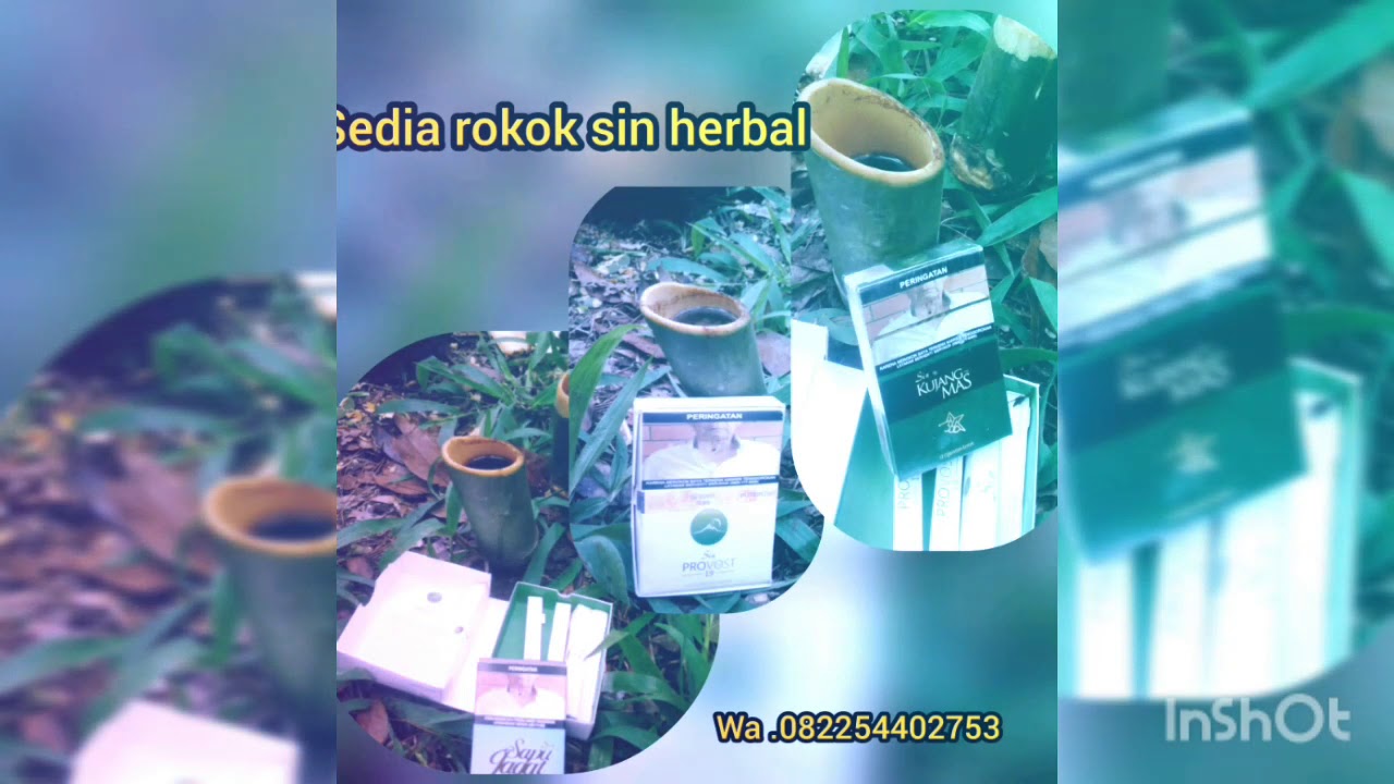 Rokok herbal sin - YouTube