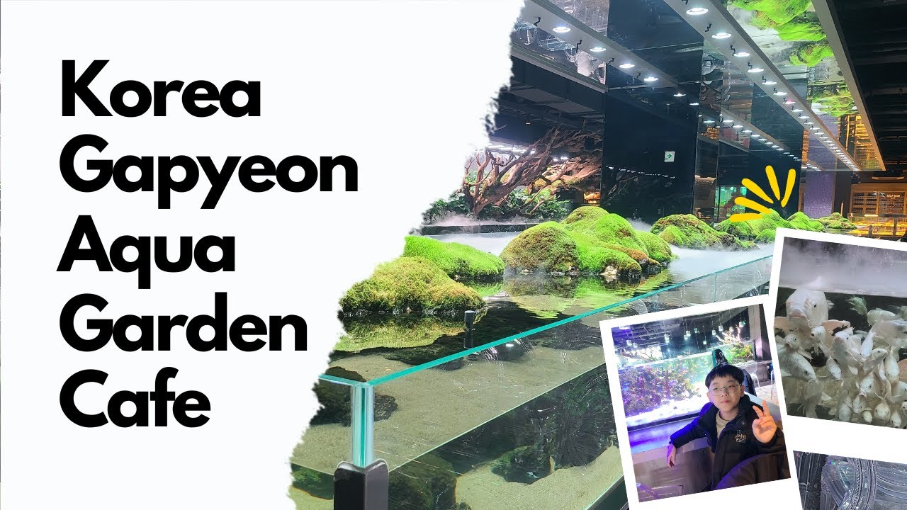 Korea Gapyeong Aqua Garden - YouTube