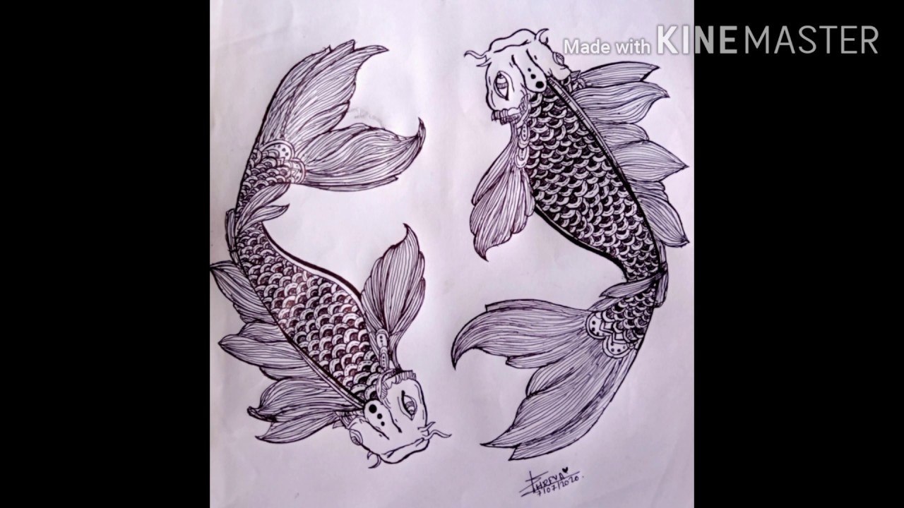 Dual fish sketch - YouTube