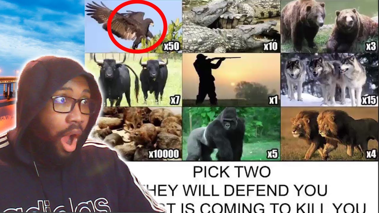 10,000 Rats Is 10,000 Rats... - YouTube