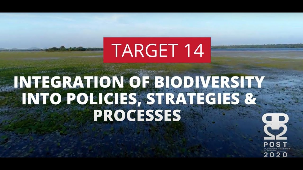 Transformative actions needed to implement the KMGBF Target 14! - YouTube