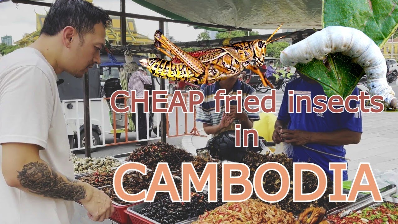 Eating INSECTS in Cambodia 🇰🇭! Cheap Silk Worms, Frogs, Grasshopper ...