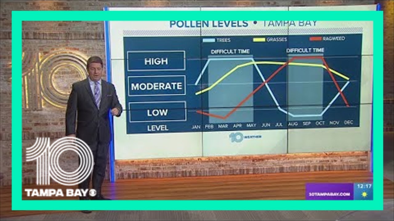 Tampa Bay area pollen levels | March 21, 2023 - YouTube
