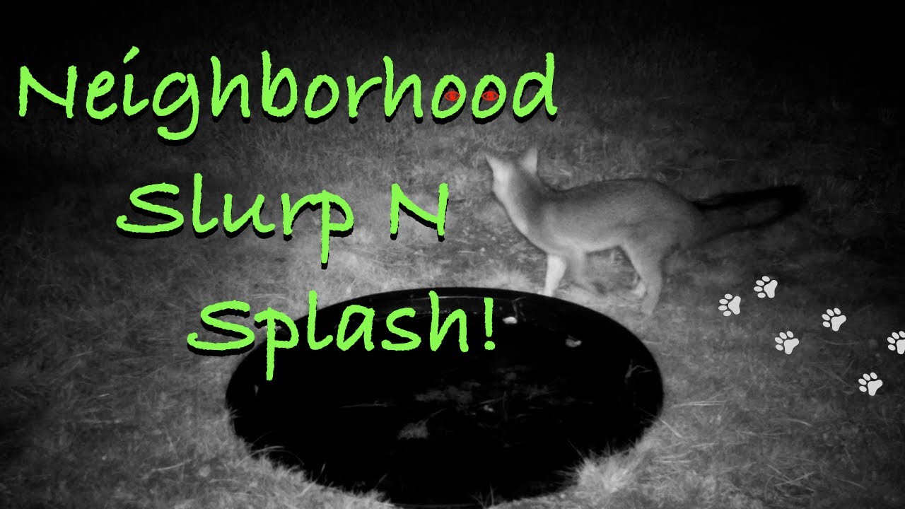Neighborhood Slurp N Splash_E3 - YouTube