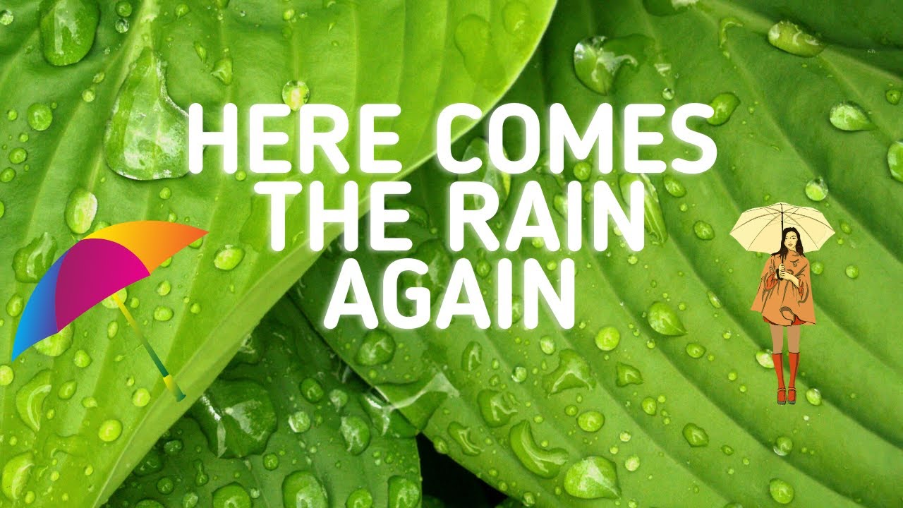 Here Comes The Rain Again. "don't you just love it" - YouTube