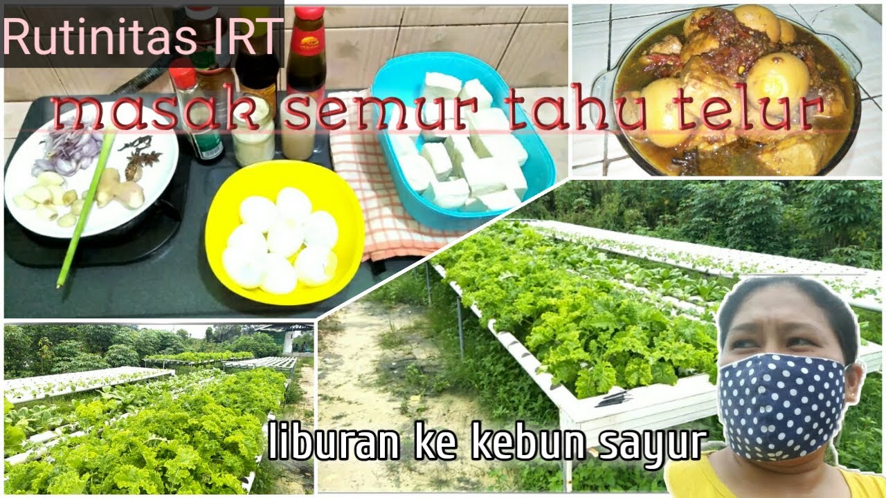 RUTINITAS IRT II MASAK SEMUR TAHU TELOR DAN JALAN JALAN KE KEBUN SAYUR - YouTube