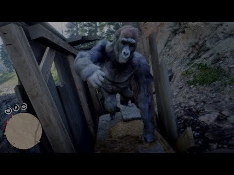 gorilla taxidermy location - RDR2 - YouTube
