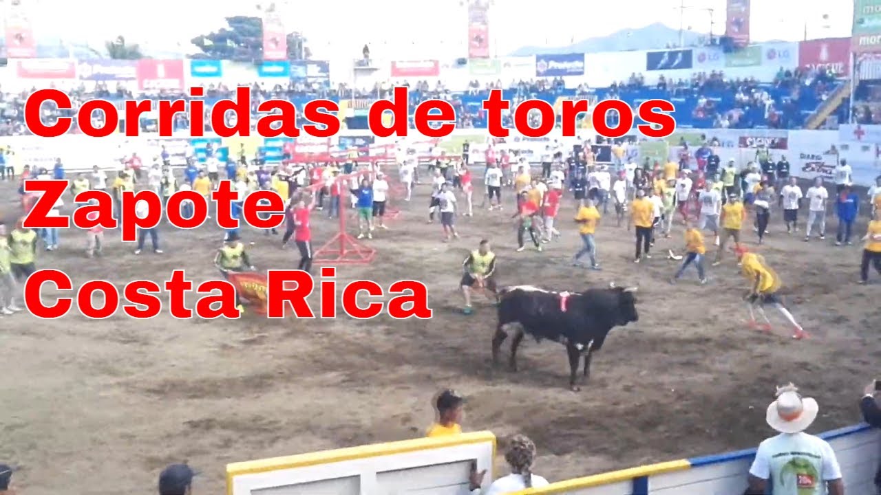 CORRIDAS DE TOROS EN ZAPOTE COSTA RICA VideoBlog by JoshRiffMonster ...
