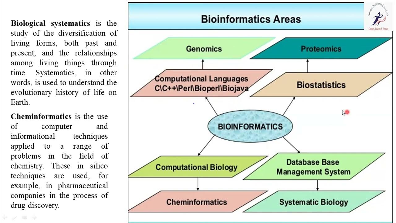 Introduction to Bioinformatics - YouTube