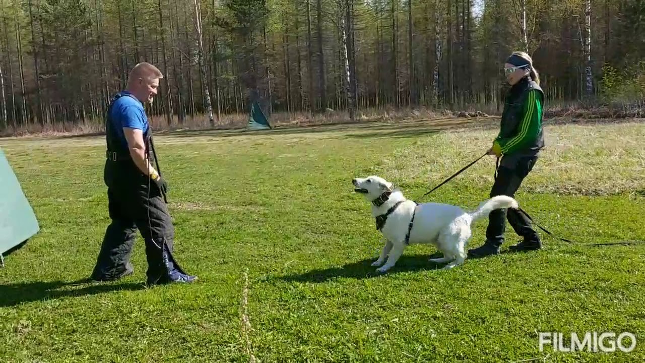 Jara IGP training - YouTube