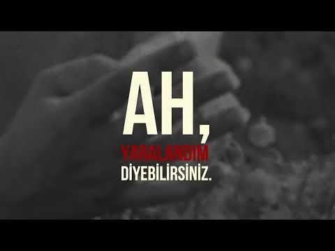 21 Mart Dünya Şiir Günü kutlu olsun!