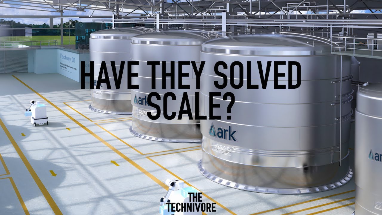 Large Scale Cultivated Meat Bioreactors (Ark Biotech) - YouTube