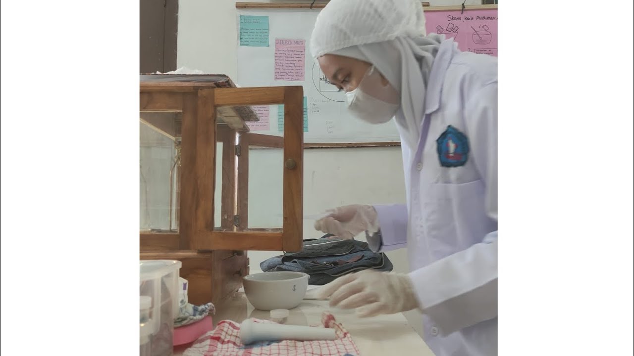 Praktek Sediaan Padat Pulveres #farmasi - YouTube