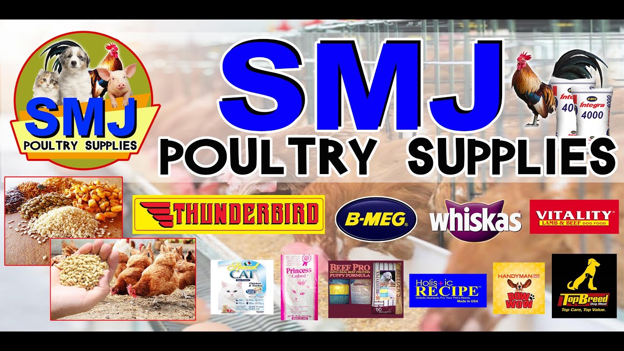 Welcome To SMJ Poultry Supplies The Pet Specialist YouTube welcome-to-smj-poultry-supplies-the-pet-specialist-youtube