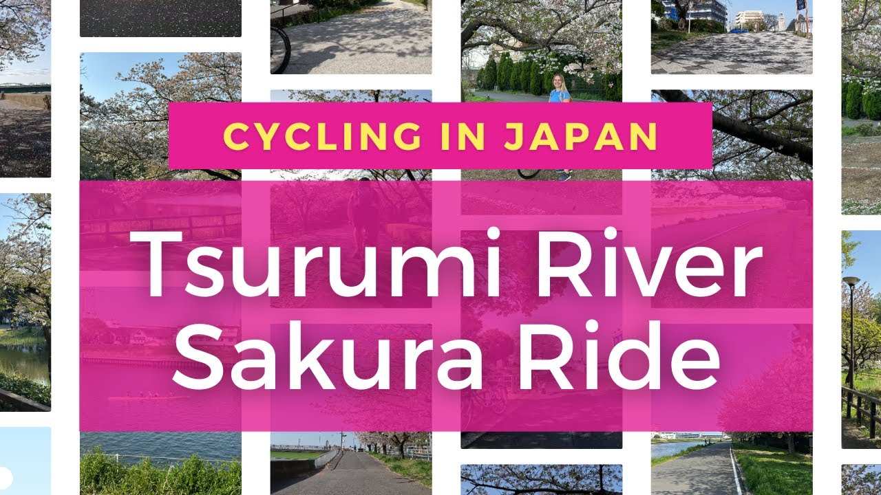 Yokohama Sakura Ride: Tsurumi River & Mitsuike Park - YouTube