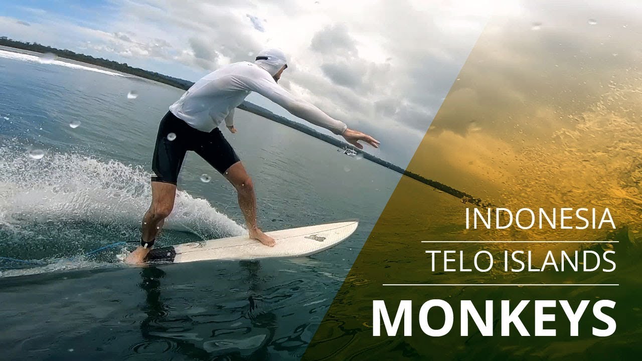 Exploring Monkeys: Telo Islands, Indonesia - YouTube